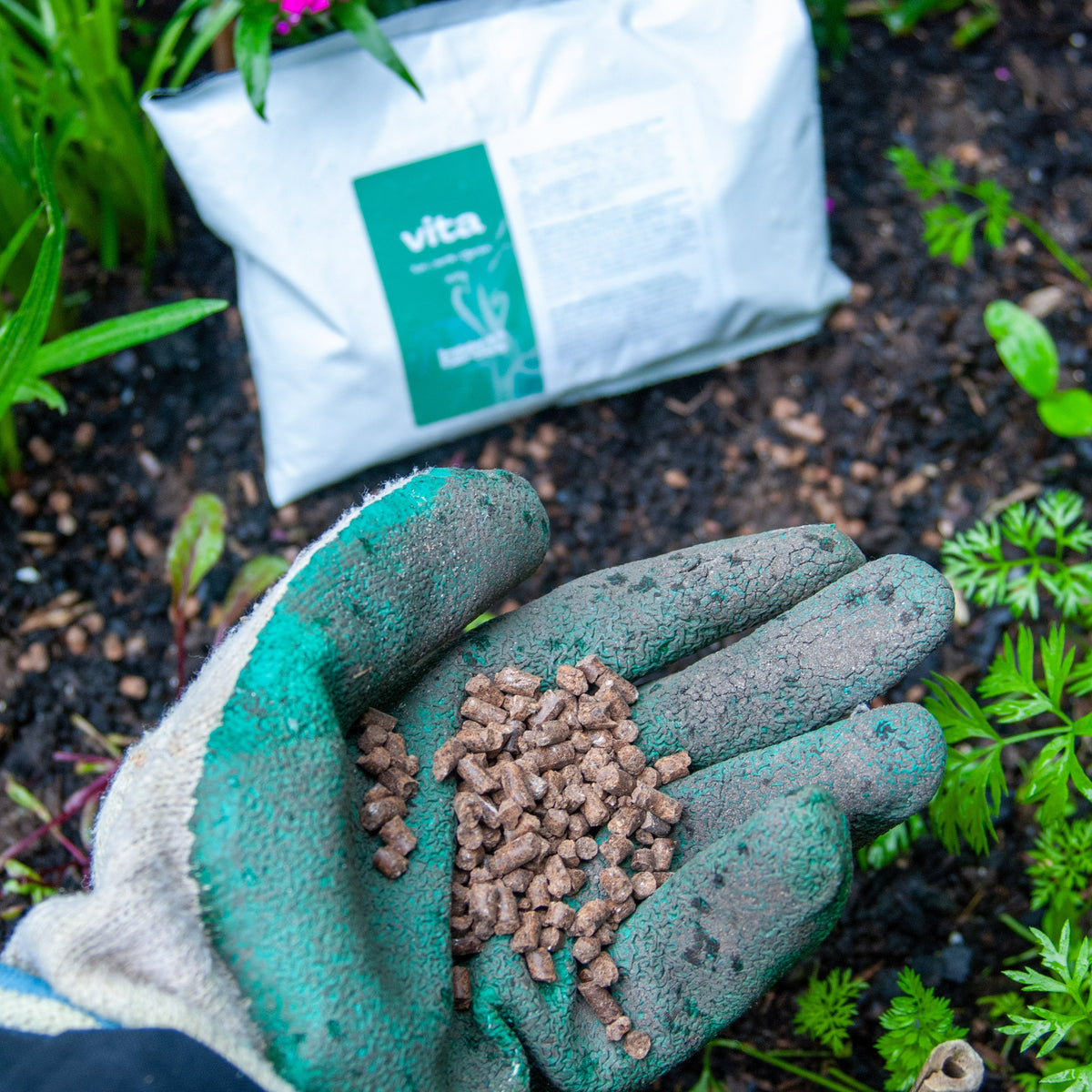 Insectenpoep voor de tuin: Milieuvriendelijke en natuurlijke bemesting ...